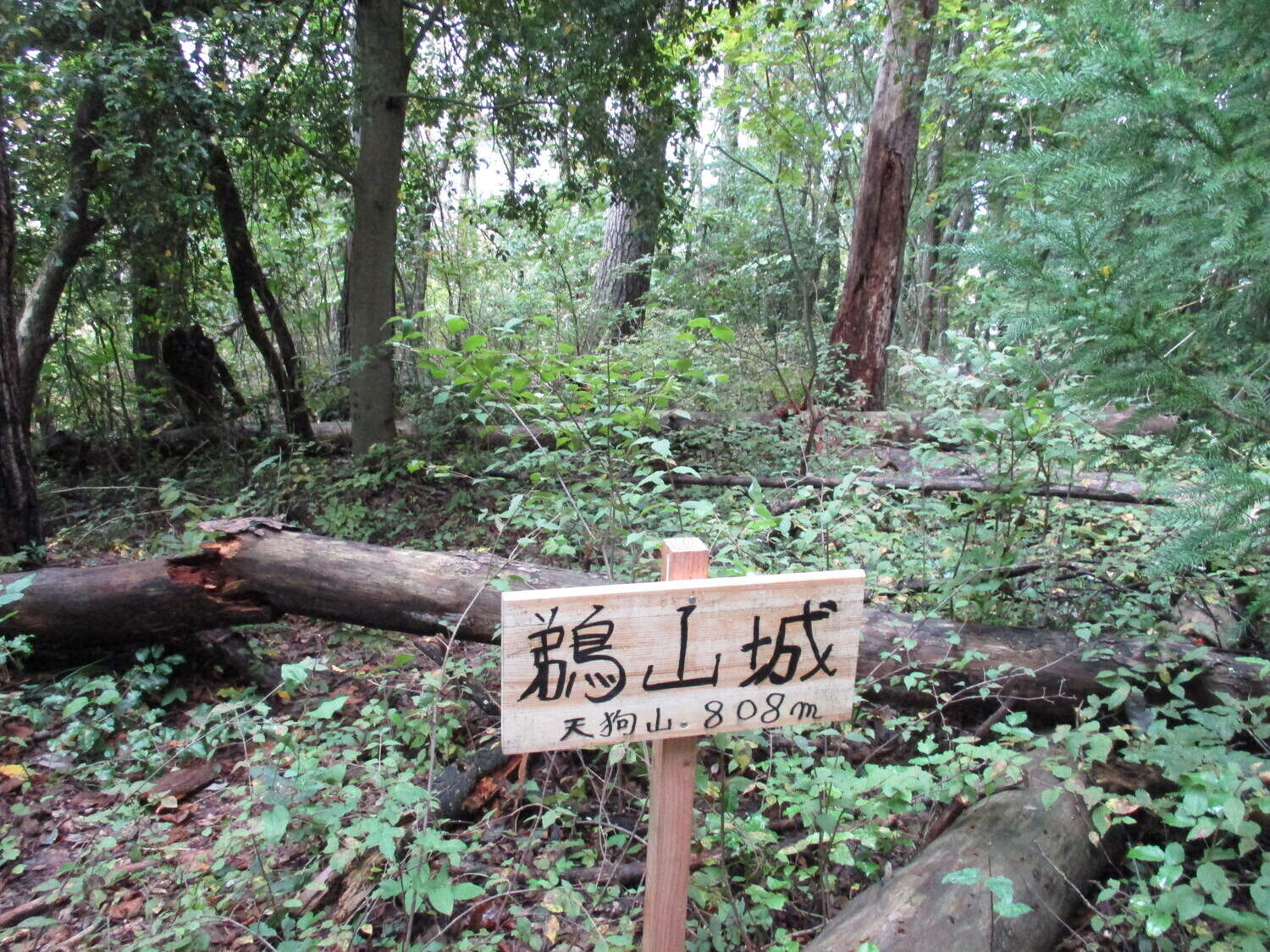 Uyama Castle (Azumi) - Jcastle.info