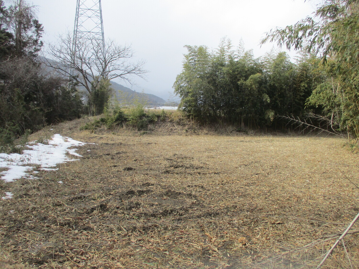 Muraoka Castle (Ina) - Jcastle.info