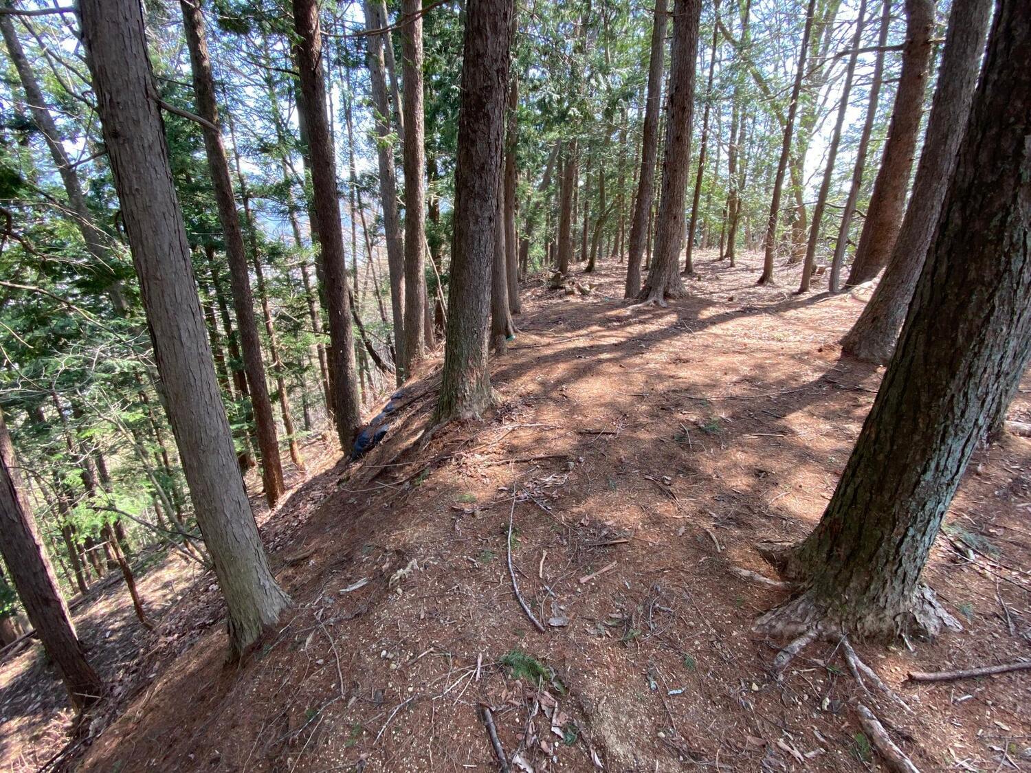 Furukawa Castle - Jcastle.info