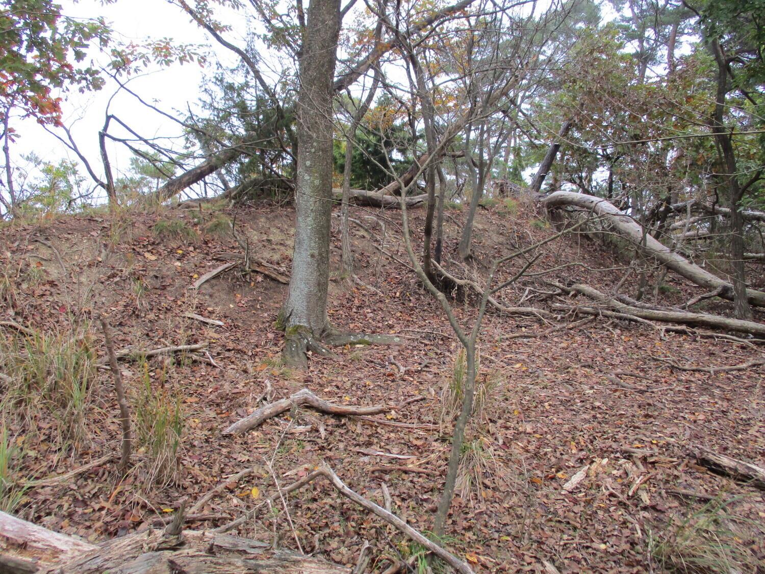 Aratoshou Castle - Jcastle.info