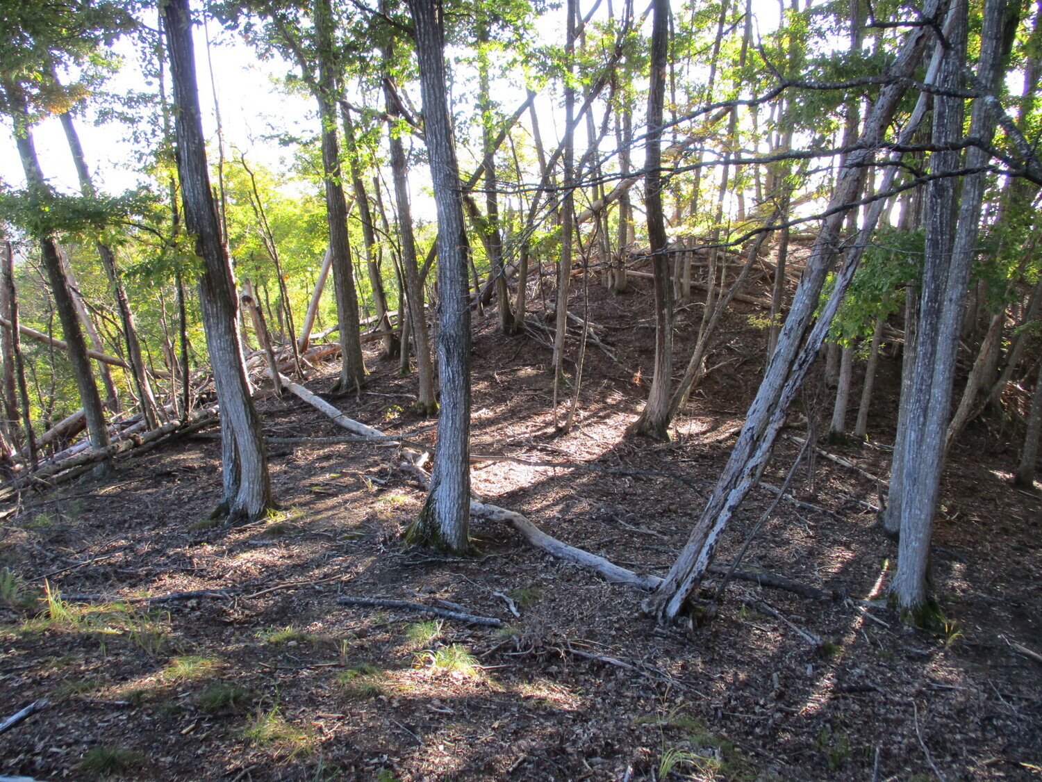 Sasaga Castle (Chikuma) - Jcastle.info