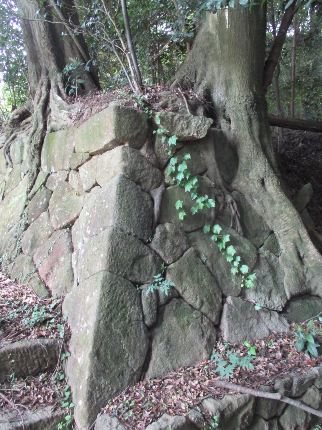Kubota Castle (Nukata) - Jcastle.info