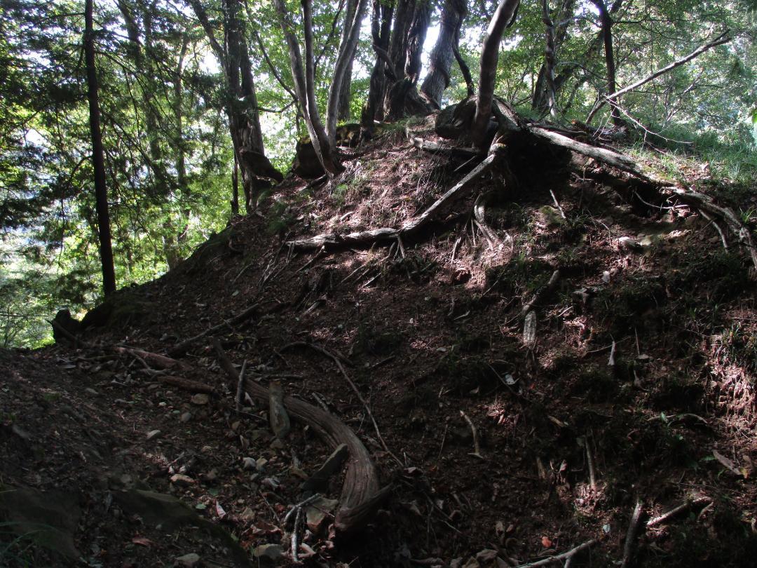 Senmi Castle - Jcastle.info