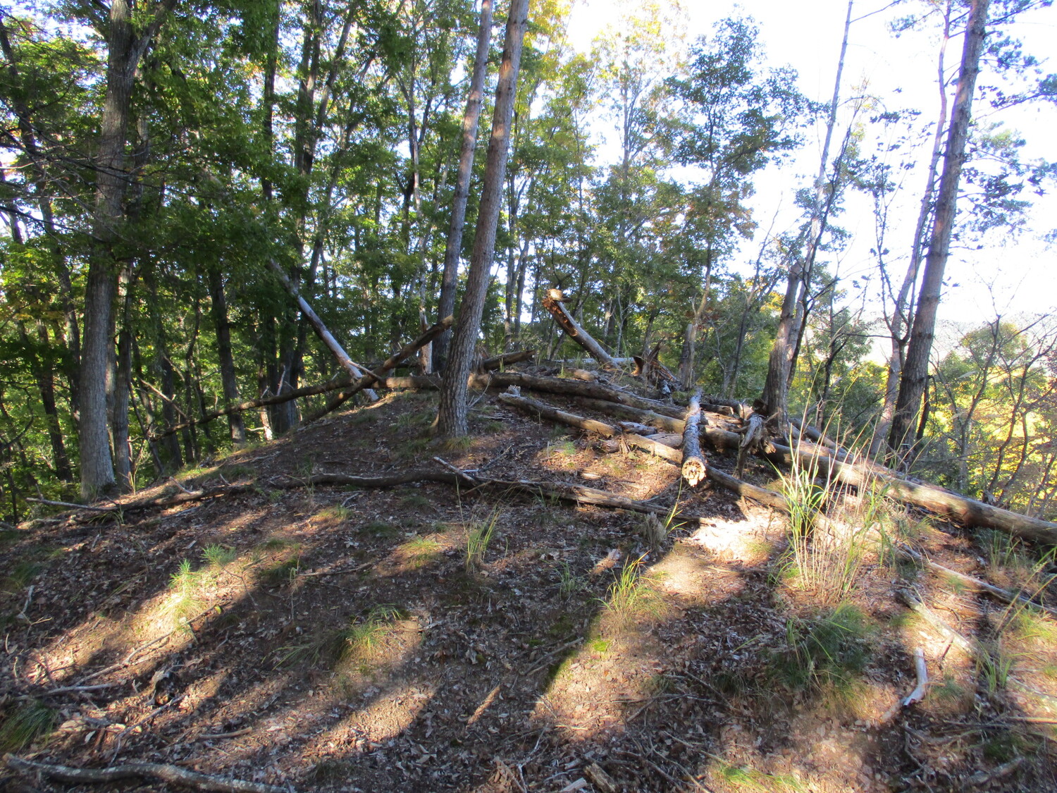 Sasaga Castle (Chikuma) - Jcastle.info