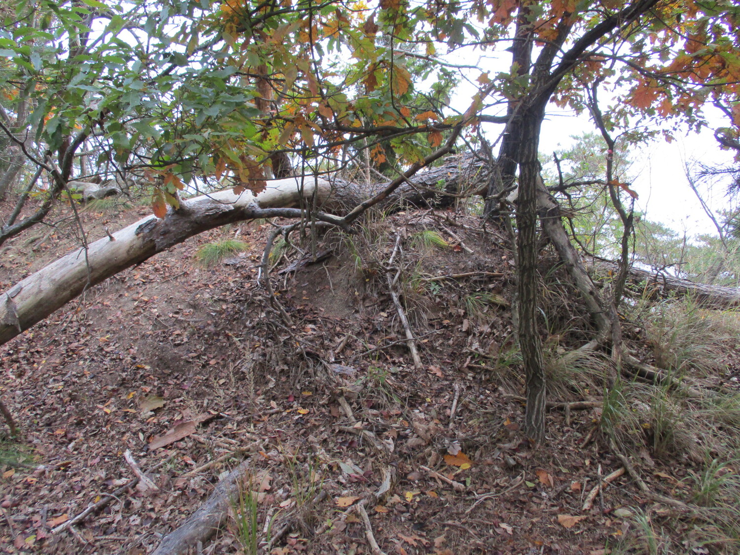 Aratoshou Castle - Jcastle.info