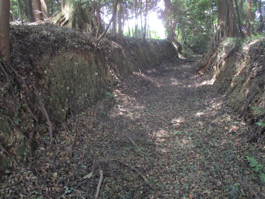 Kubota Castle (Nukata) - Jcastle.info