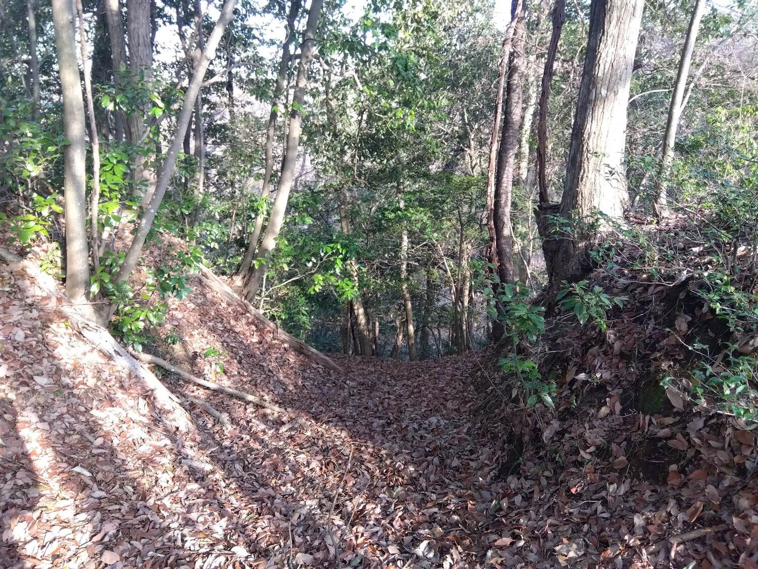 Tobuki Castle - Jcastle.info