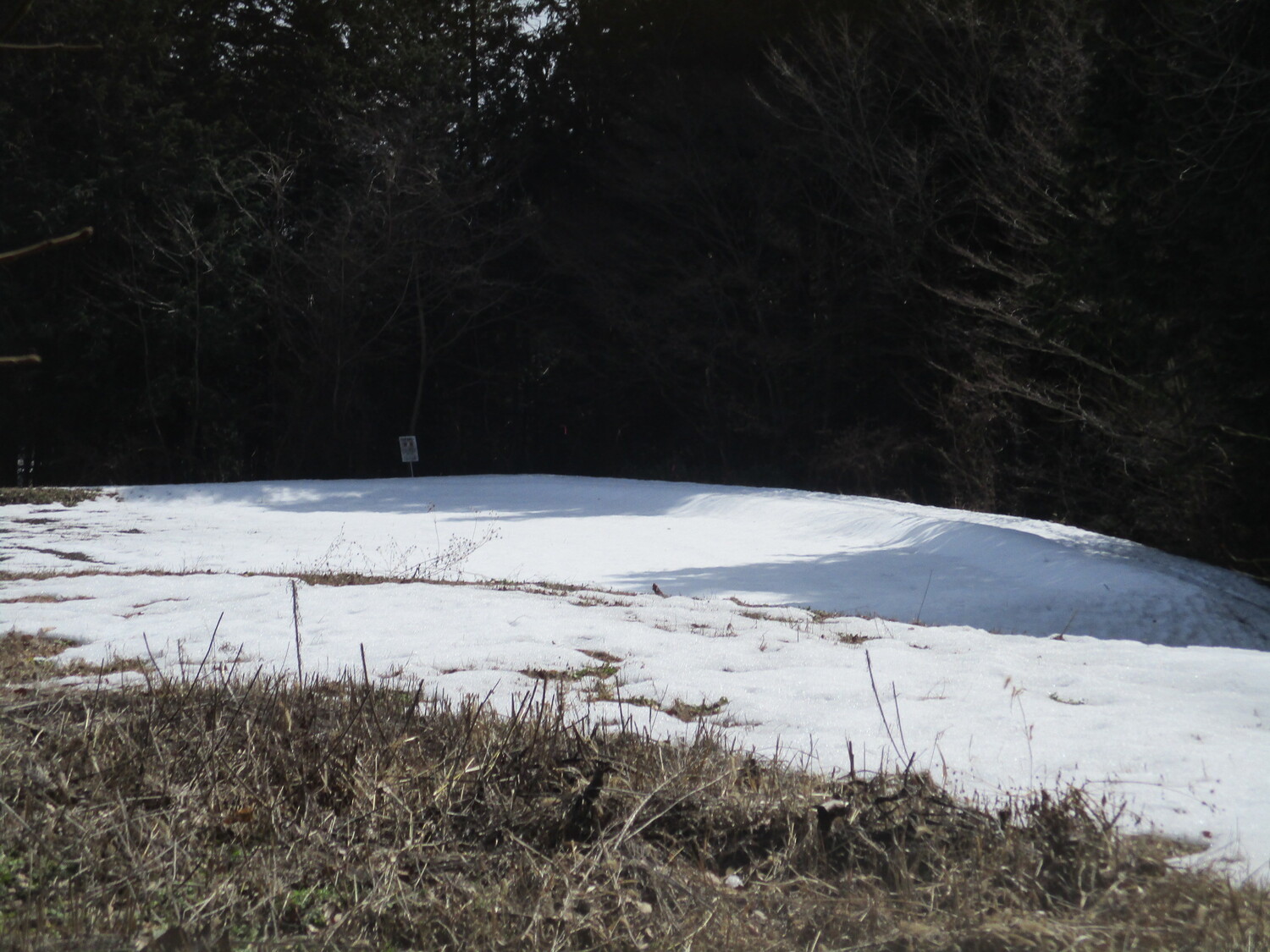 Yakushidou Castle (Ina) - Jcastle.info